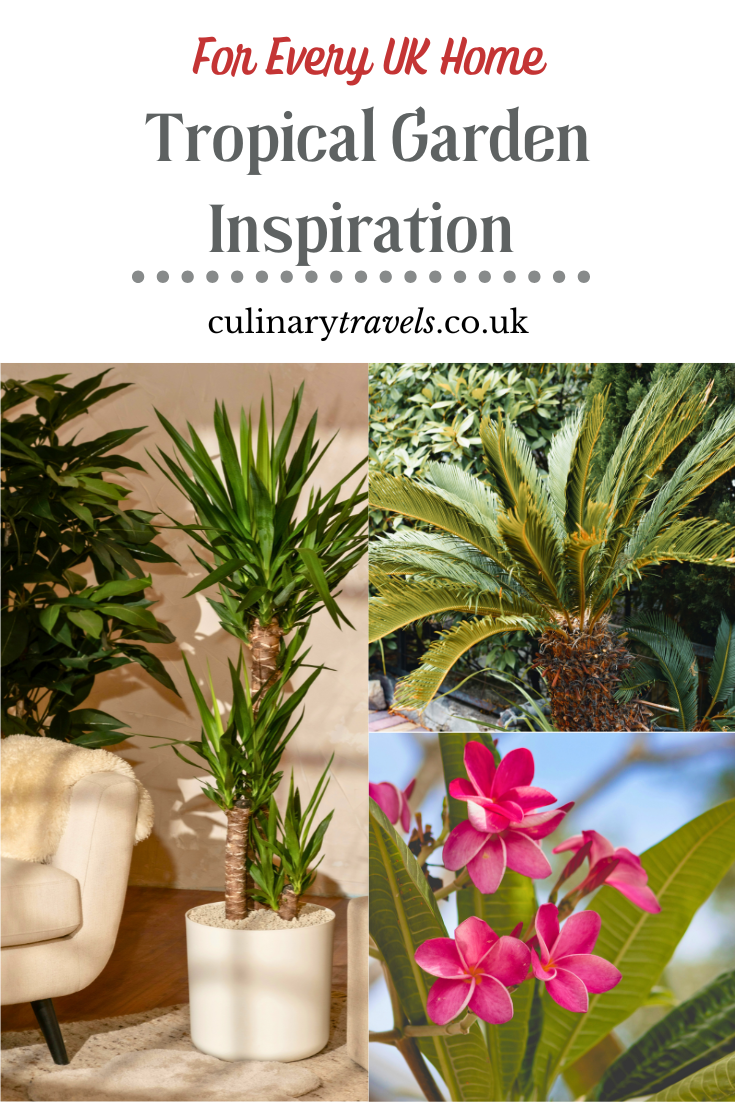 UK Tropical Garden Ideas: Hardy Palms, Edible Herbs & Garden Styling ...